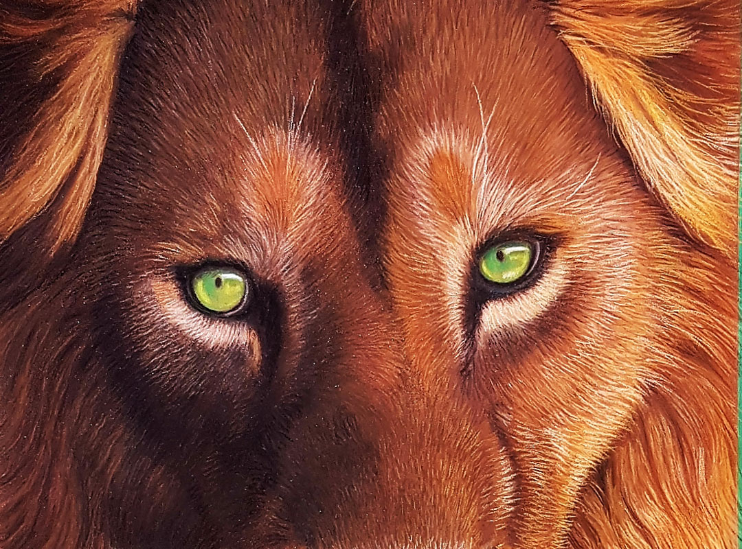 Wildtier Portrait "Sunny Lion" in Pastell - Sofakitty